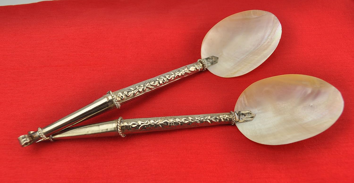 Buy Pair Mother of Pearl Serving Spoon Sea Shell Abalone Caviar ...