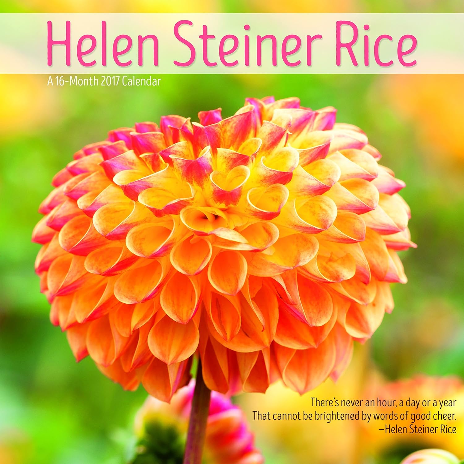 Trends International 2017 Wall Calendar, September 2016 - December 2017 ...