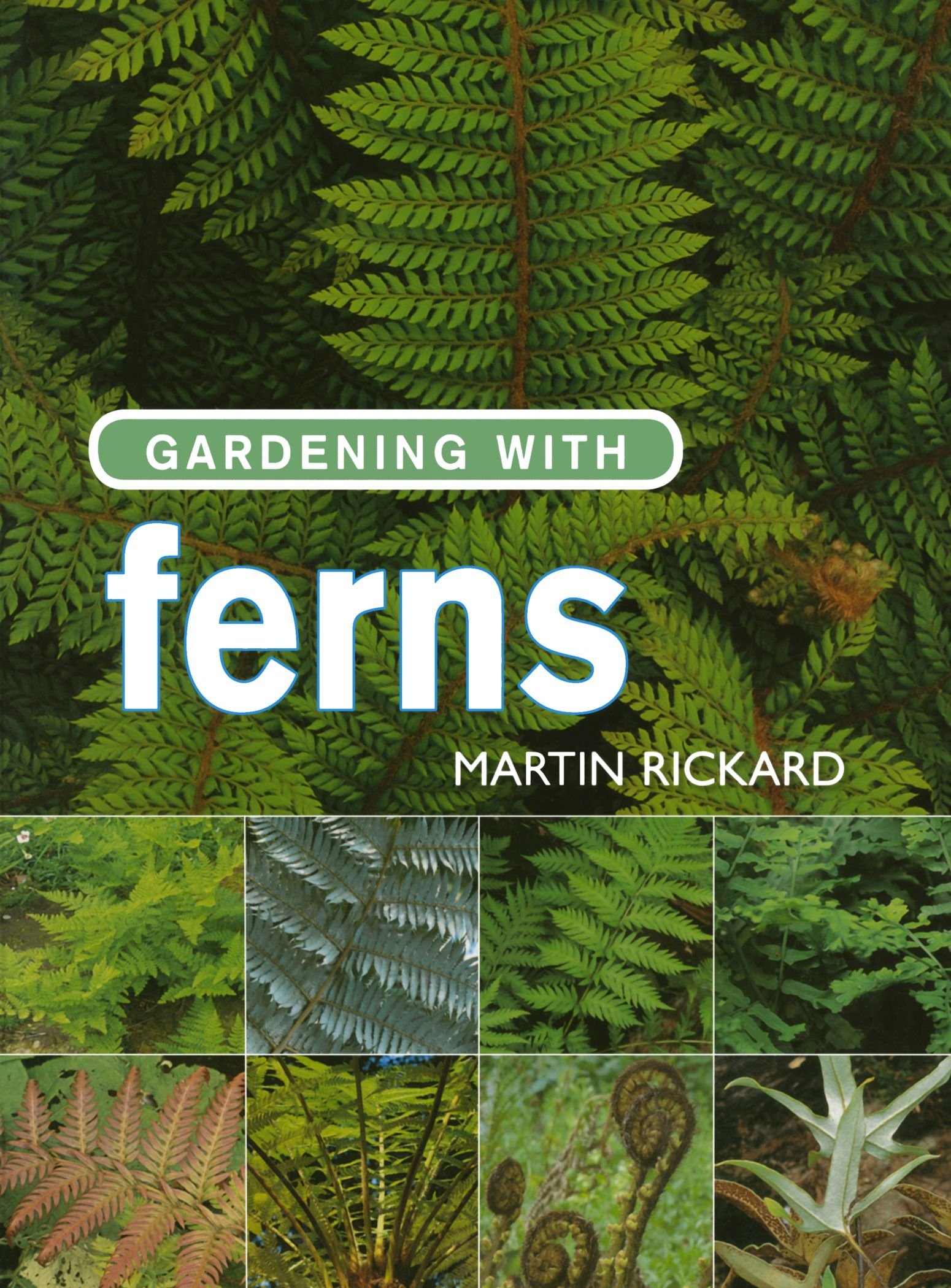 Gardening with Ferns: Amazon.co.uk: Rickard, Martin: 9780715317303: Books