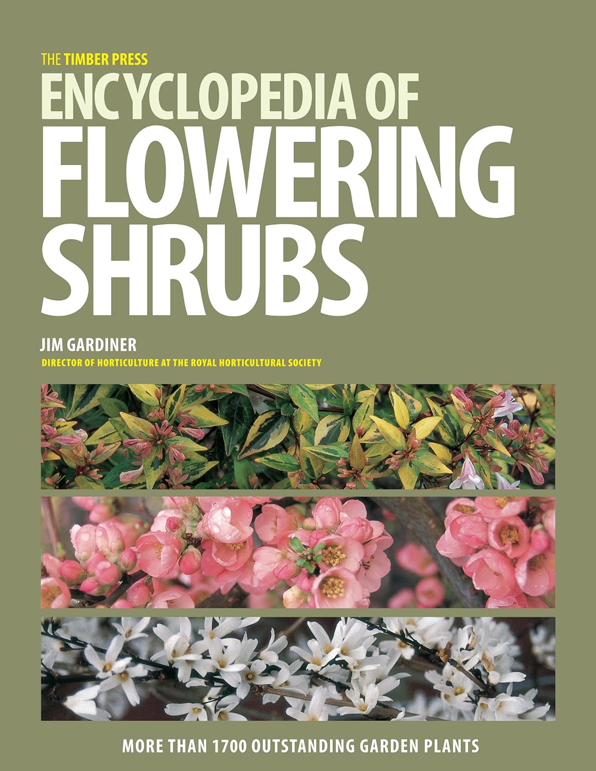 The Timber Press Encyclopedia of Flowering Shrubs: Gardiner, Jim ...