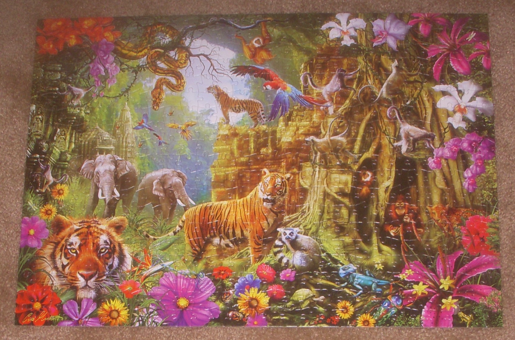 Amazon.com: Buffalo Games - Amazing Nature Collection - Jungle ...