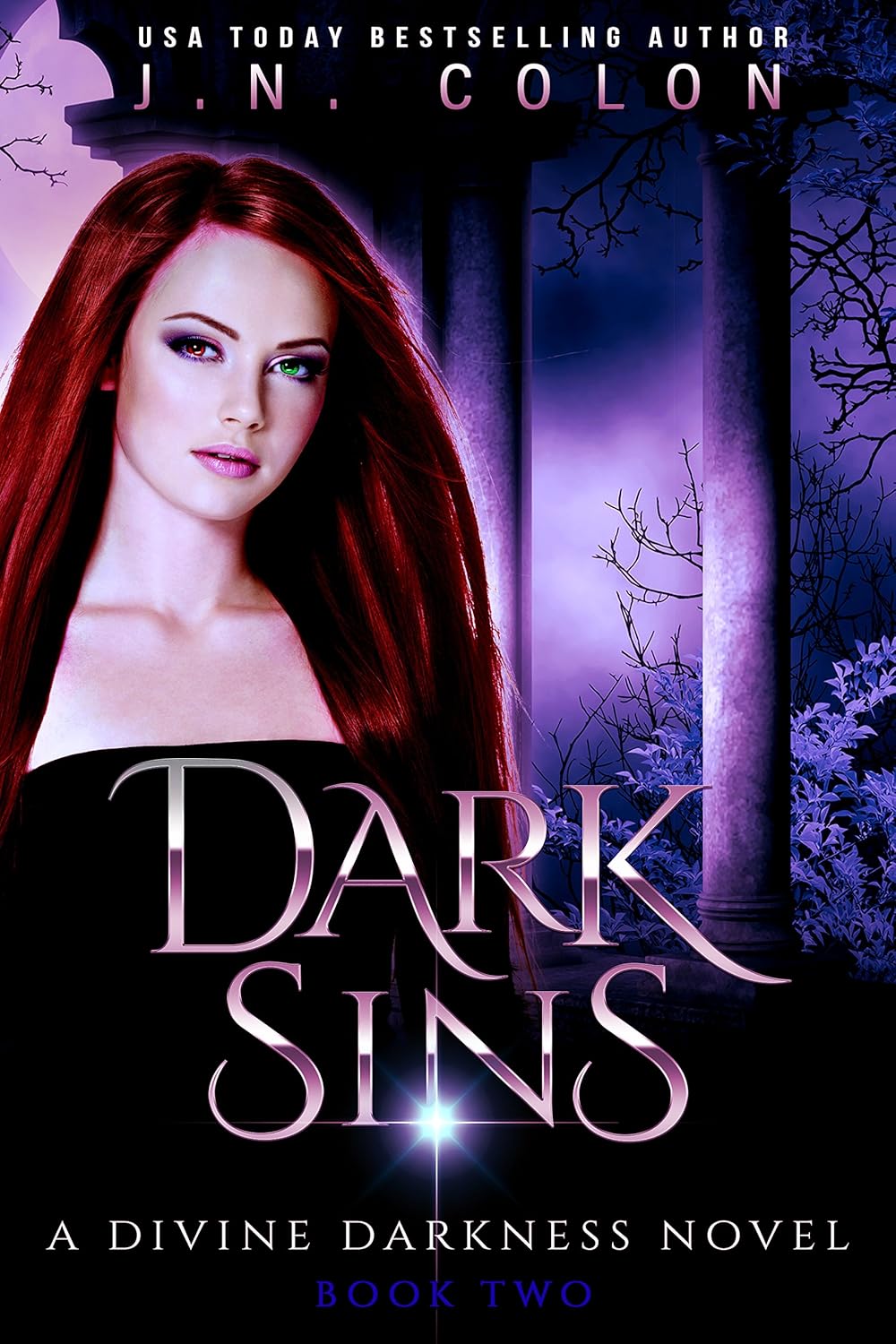 Amazon.com: Dark Sins (A Divine Darkness Novel 2) eBook : Colon, J.N ...