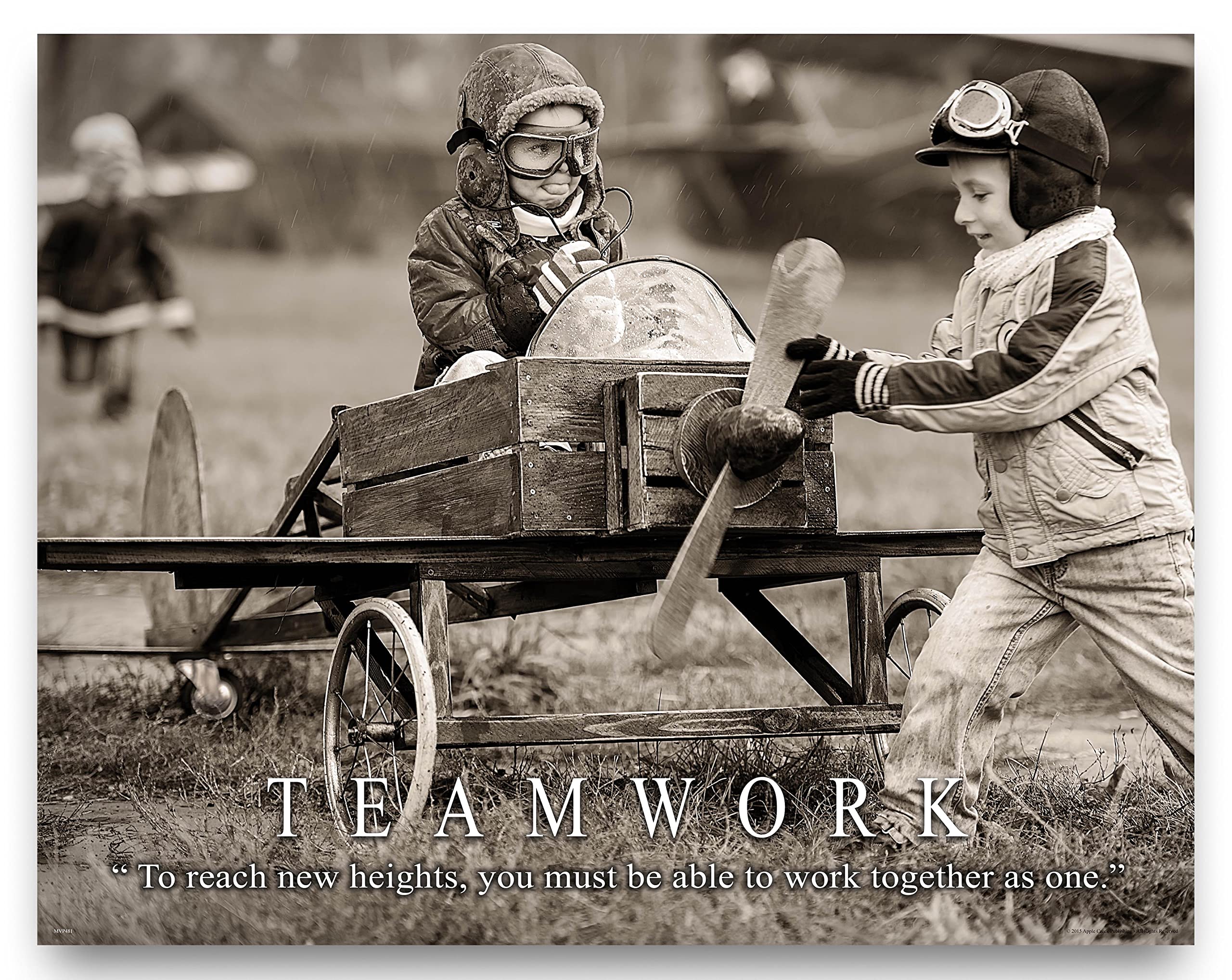 Amazon.com: Aviation Airplane Motivational Poster Art Print 11x14 US ...