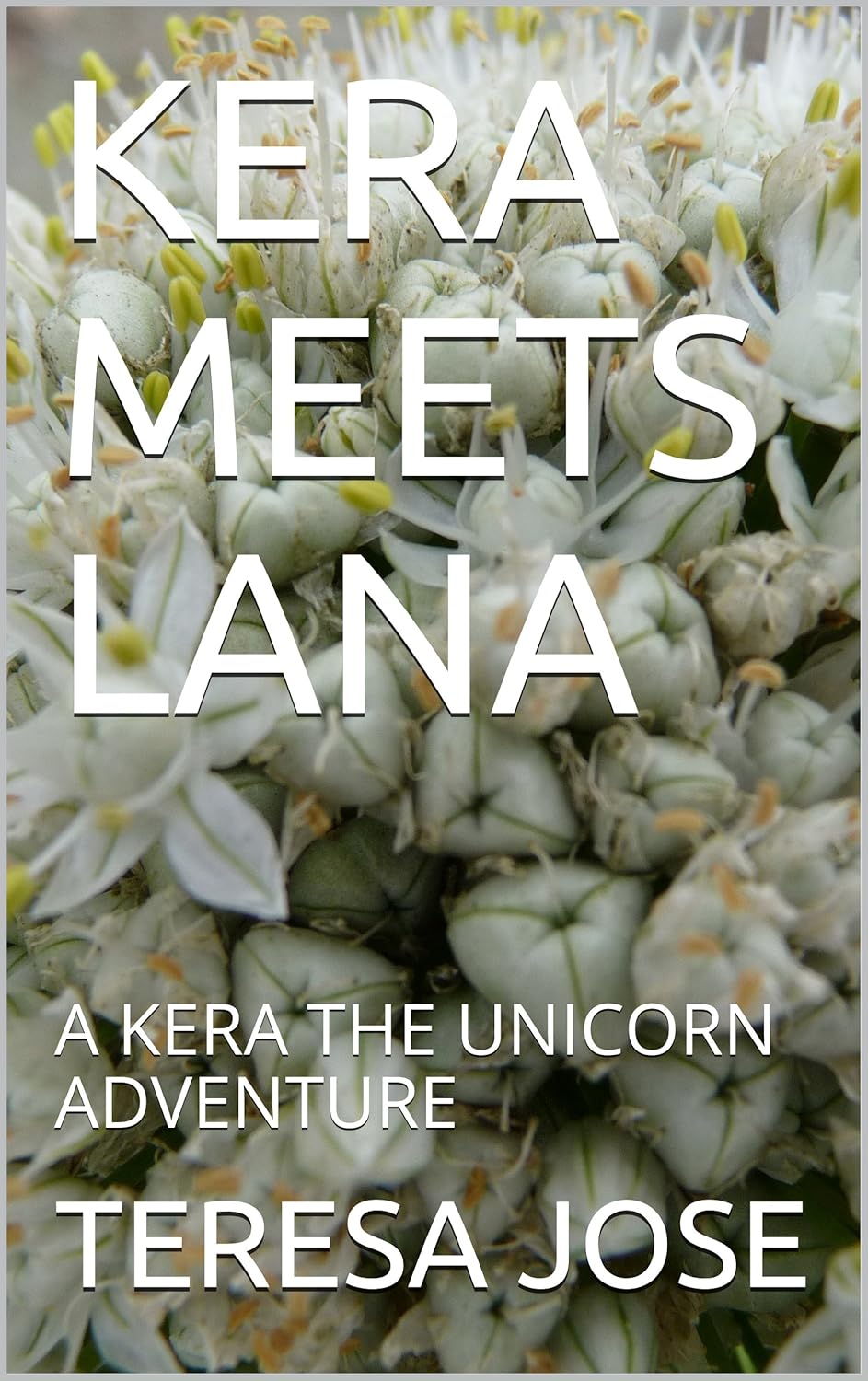 Amazon.com: KERA MEETS LANA: A KERA THE UNICORN ADVENTURE (BOOK 2 1 ...