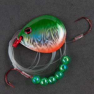 Amazon.com : Berkley Walleye Colorado 5 Fluorocarbon Flicker Rig ...