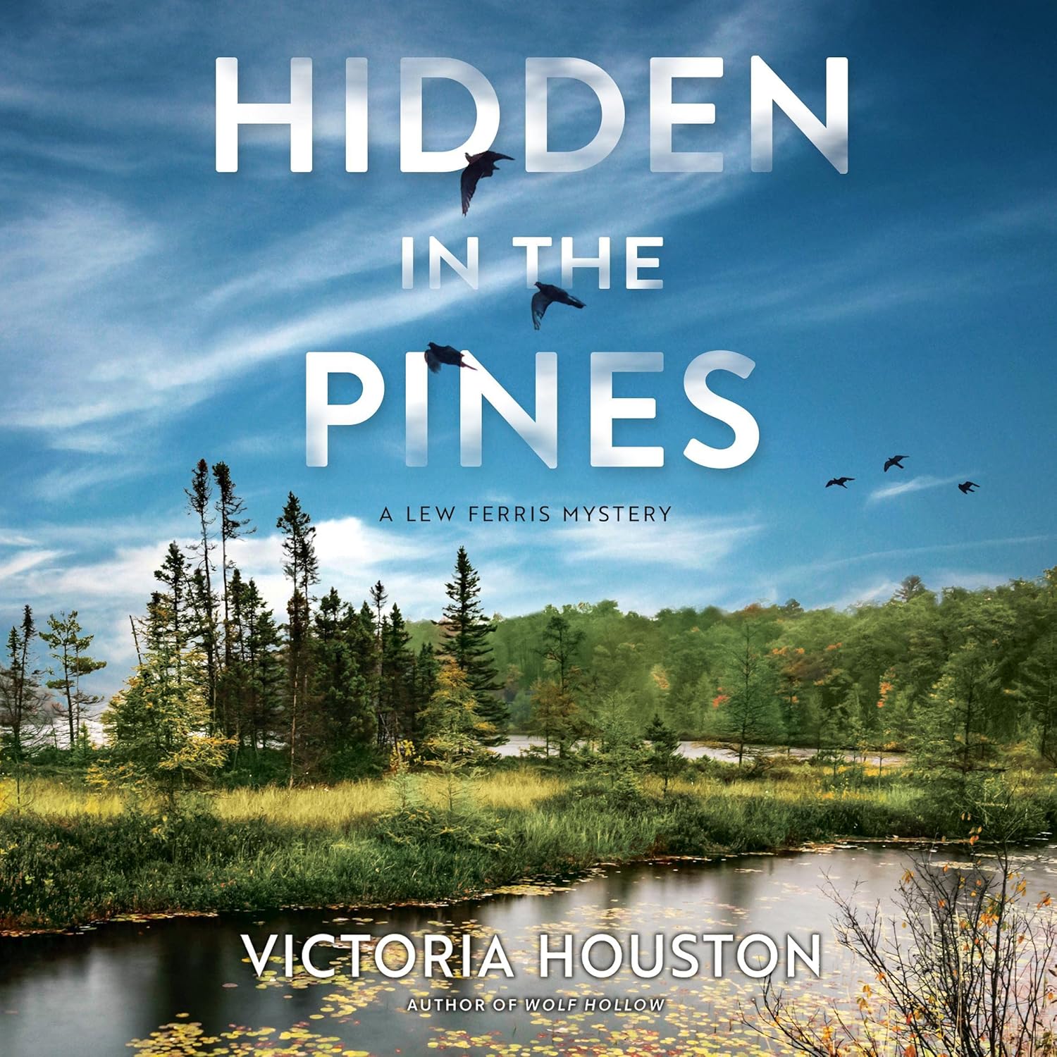Amazon.com: Hidden in the Pines: Lew Ferris Mysteries, Book 2 (Audible ...