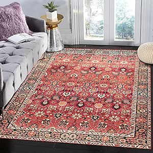 Amazon.com: Vivorug Washable Rug, Ultra Soft Area Rug 5x7, Non Slip Rug ...