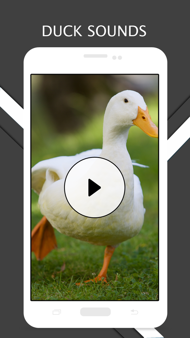 Duck Sounds And Ringtones:Amazon.in:Appstore for Android