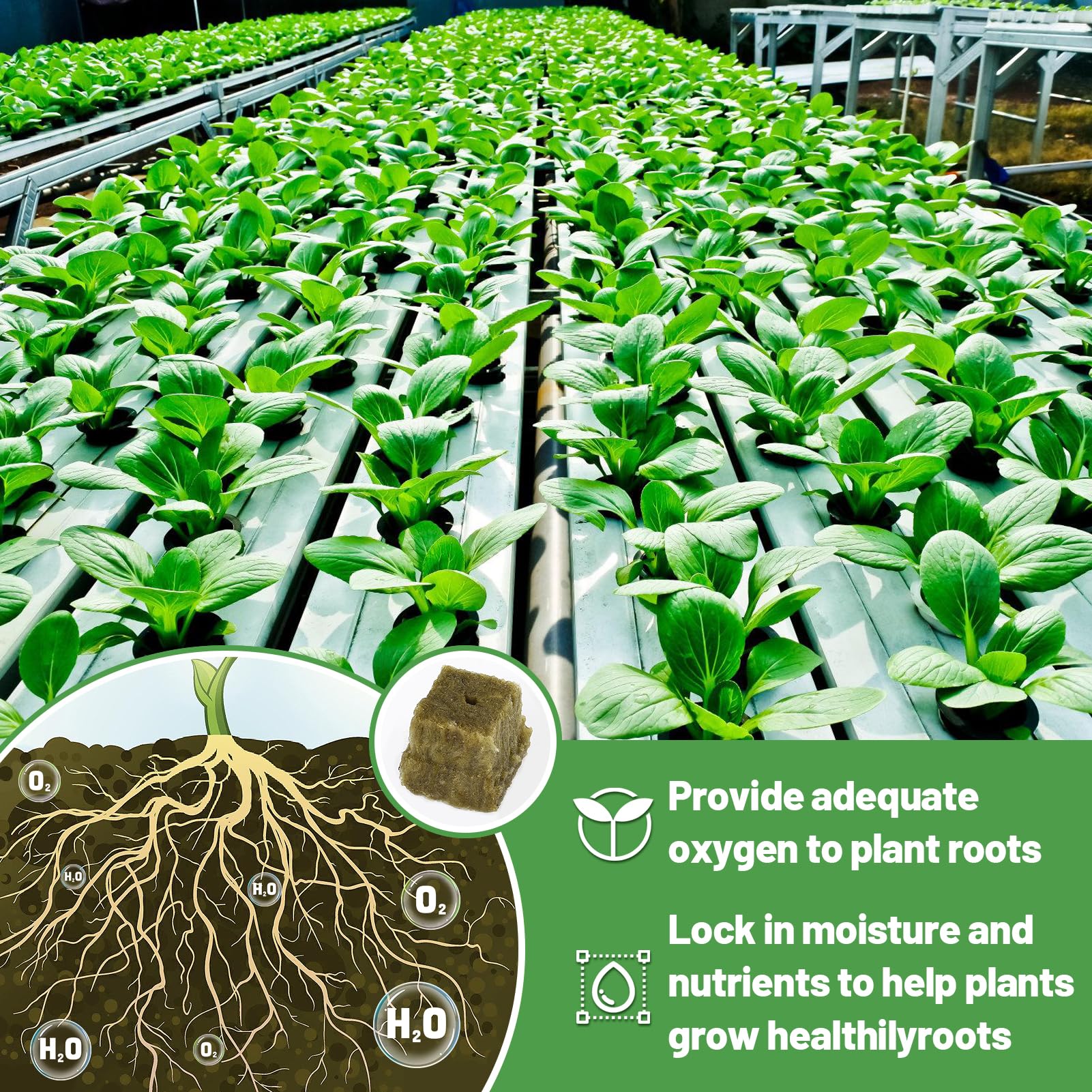 Hydroponics Roots And Rocks 4 Of The Most Popular Hydroponic