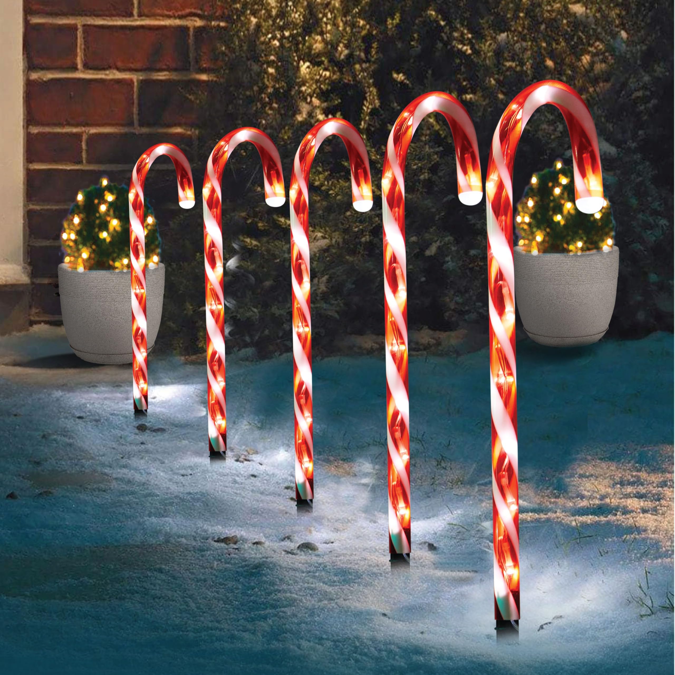 Just for Christmas Candy Cane Lights 5Pack 50 Bright LEDs Christmas ...