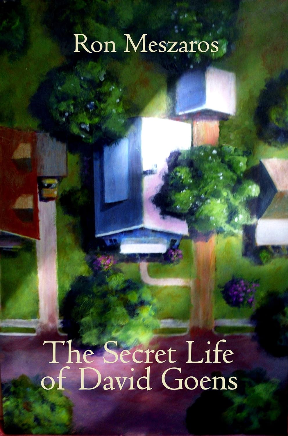 The Secret Life of David Goens - Kindle edition by Meszaros, Ron ...