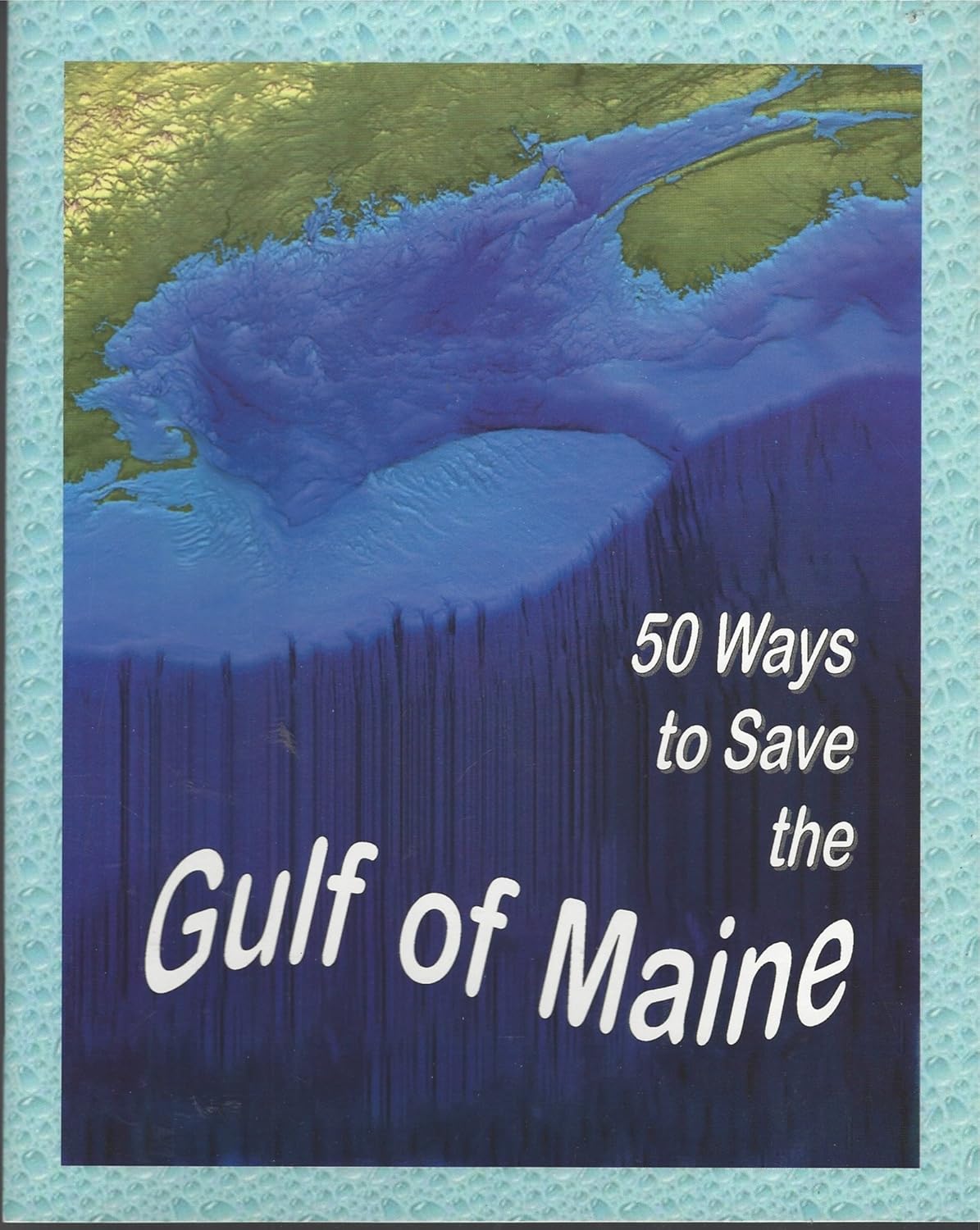 50 Ways to Save the Gulf of Maine: Jon Percy: Amazon.com: Books