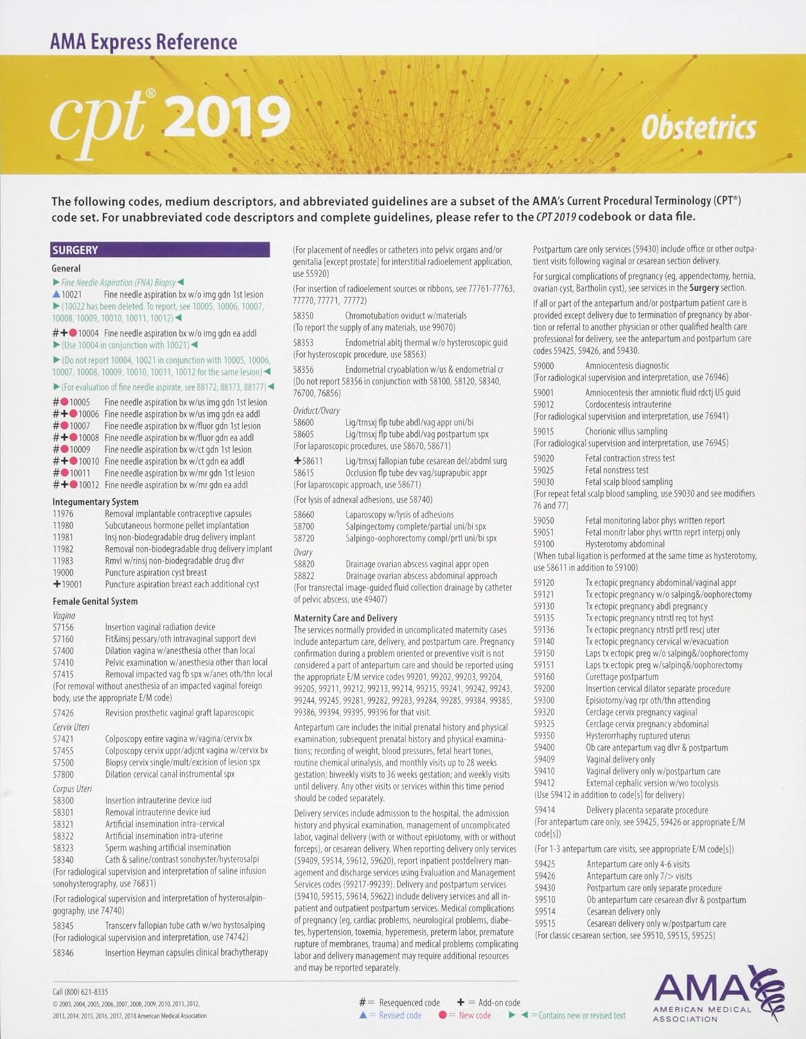 Erc-CPT 2019 Obstetrics: 9781622027927: Medicine & Health Science Books ...