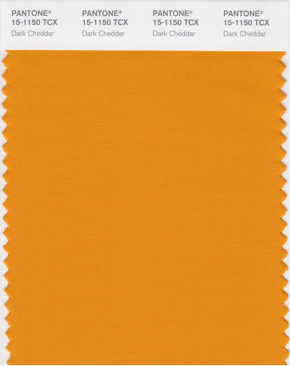PANTONE Smart 15-1150X Color Swatch Card, Dark Cheddar - House Paint ...