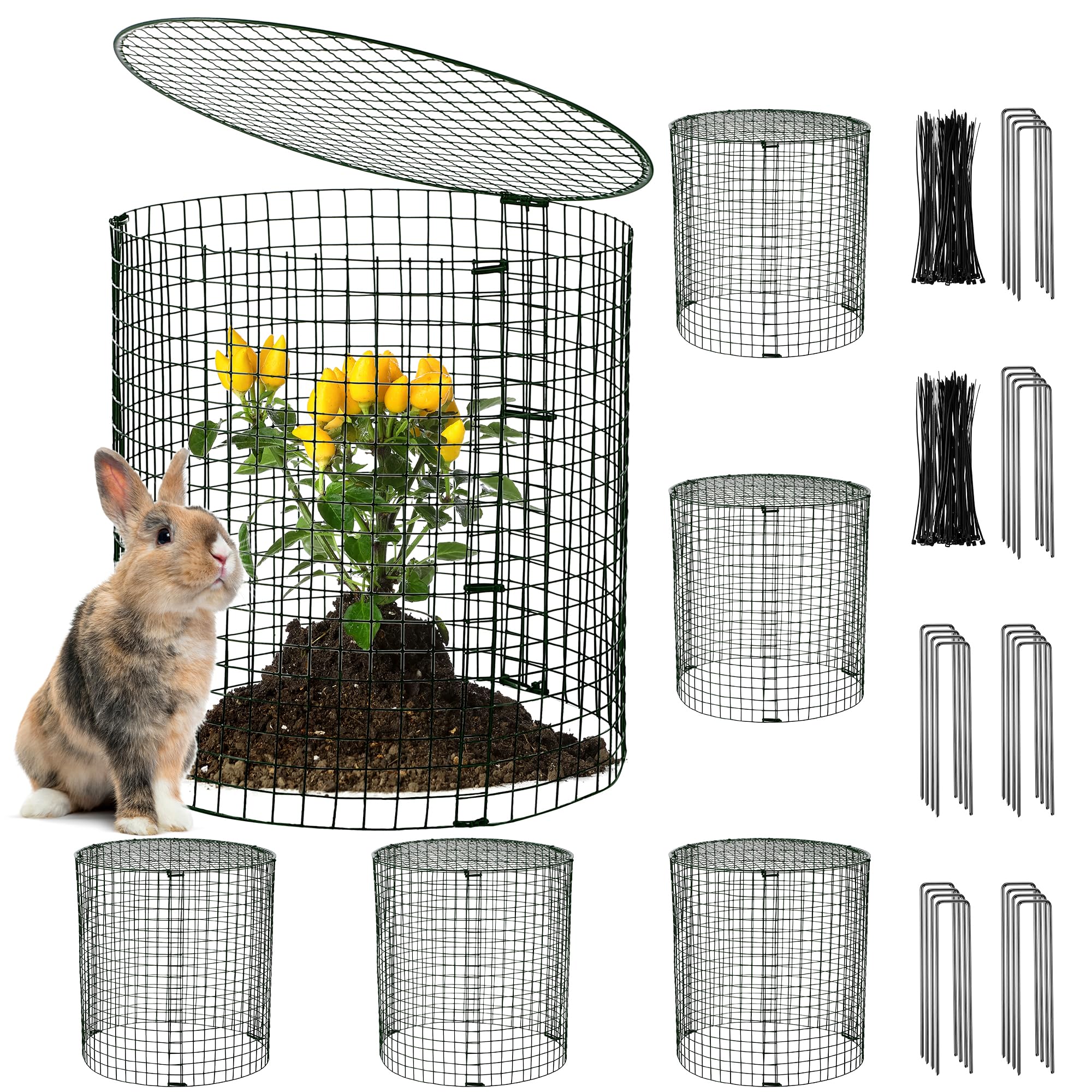 Hiboom Garden Plant Protectors from Animals with Stakes, Metal Mesh and ...