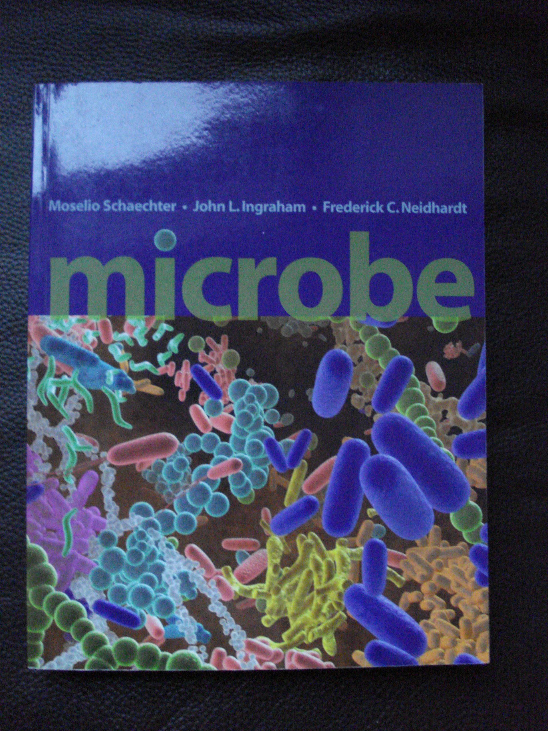 Microbe: Schaechter, Moselio, Ingraham, John L., Neidhardt, Frederick C ...