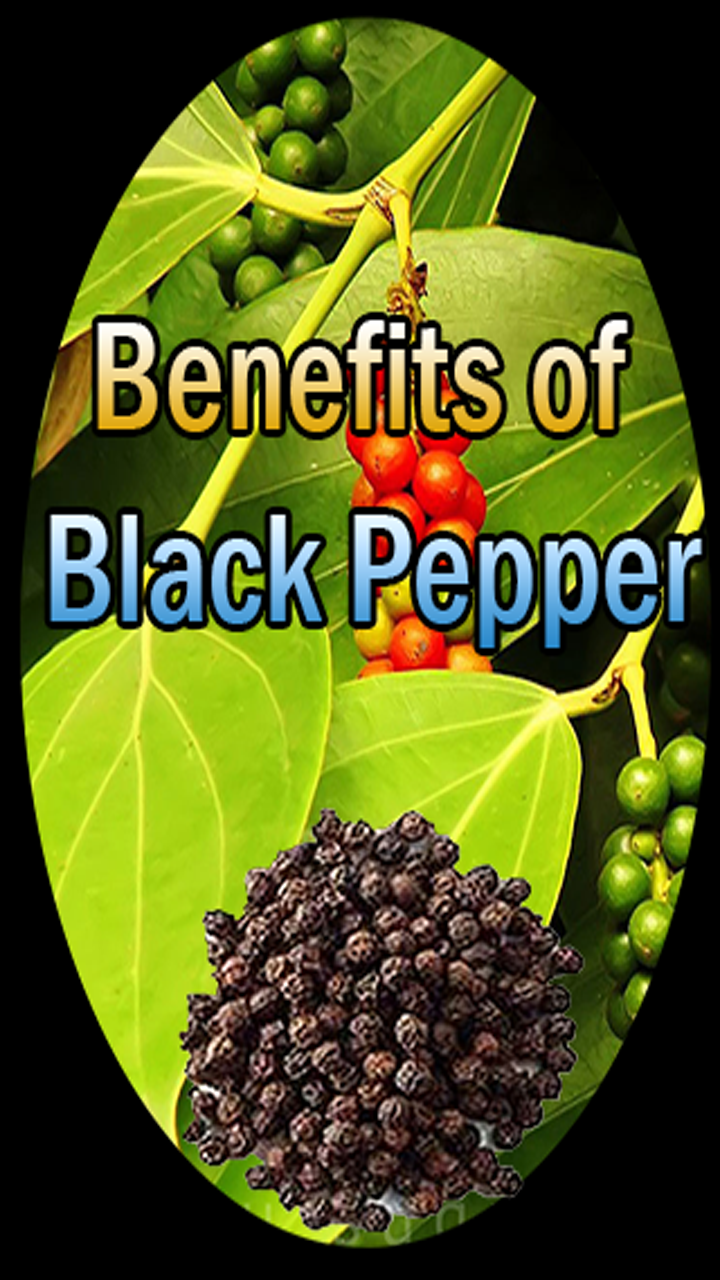 Benefits of BlackPepper - App on Amazon Appstore