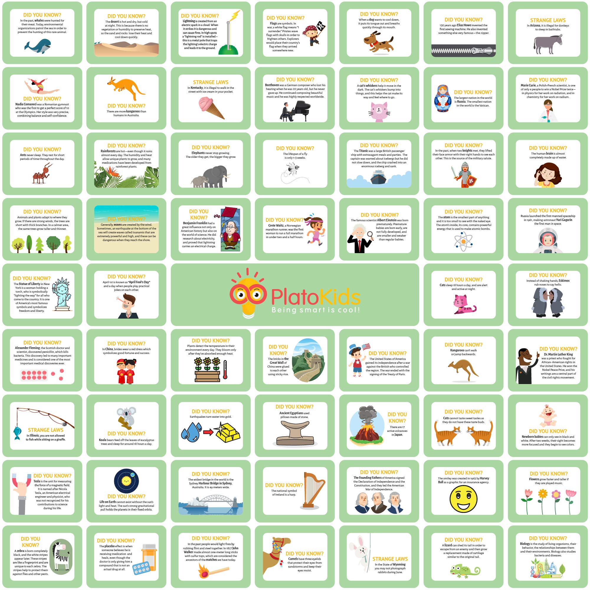 Buy Lunch Box Notes for Kids – Pack of 60 Educational Lunch Box Notes ...