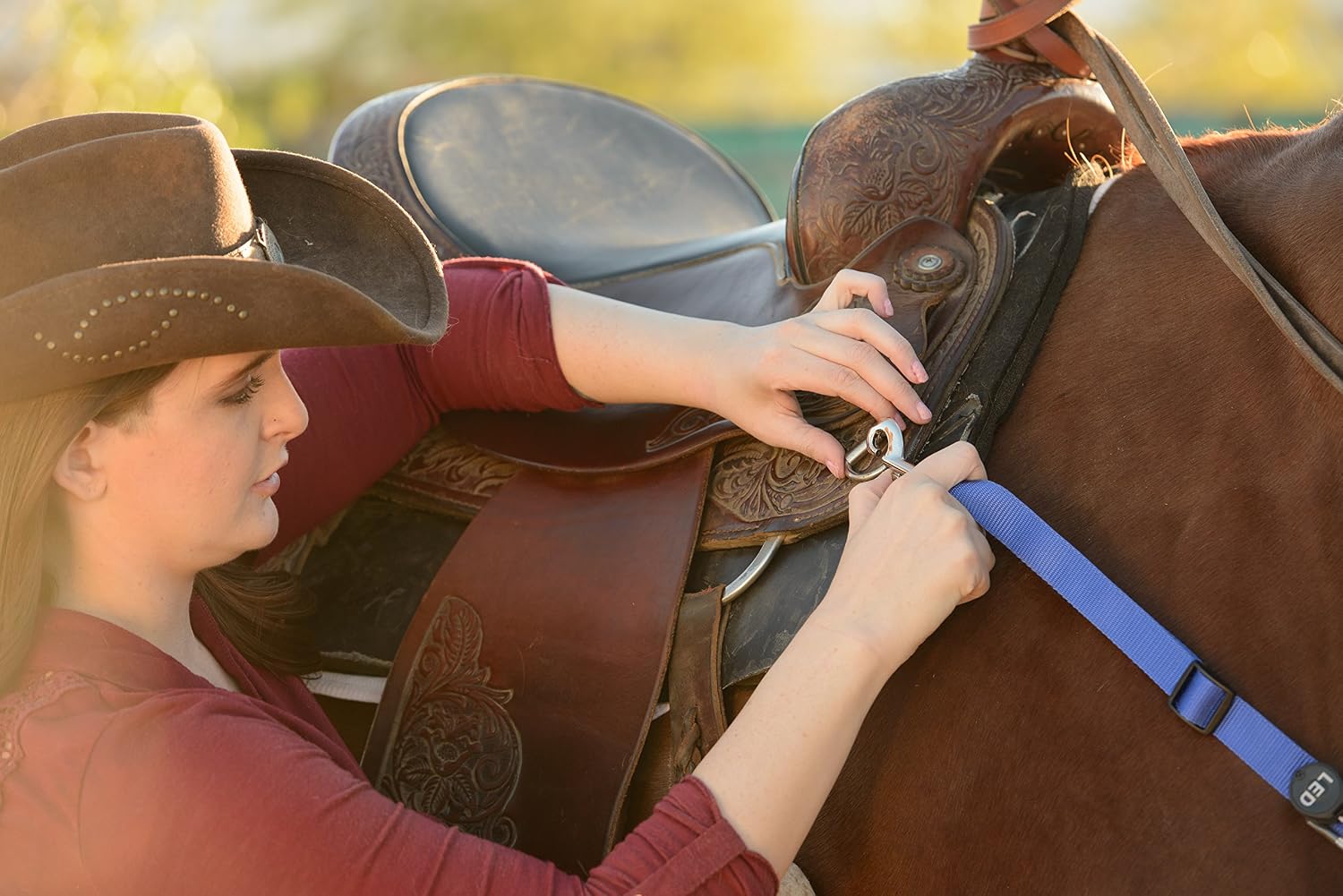 LED Horse Breastplate Collar – USB Rechargeable – Best High Visibility ...