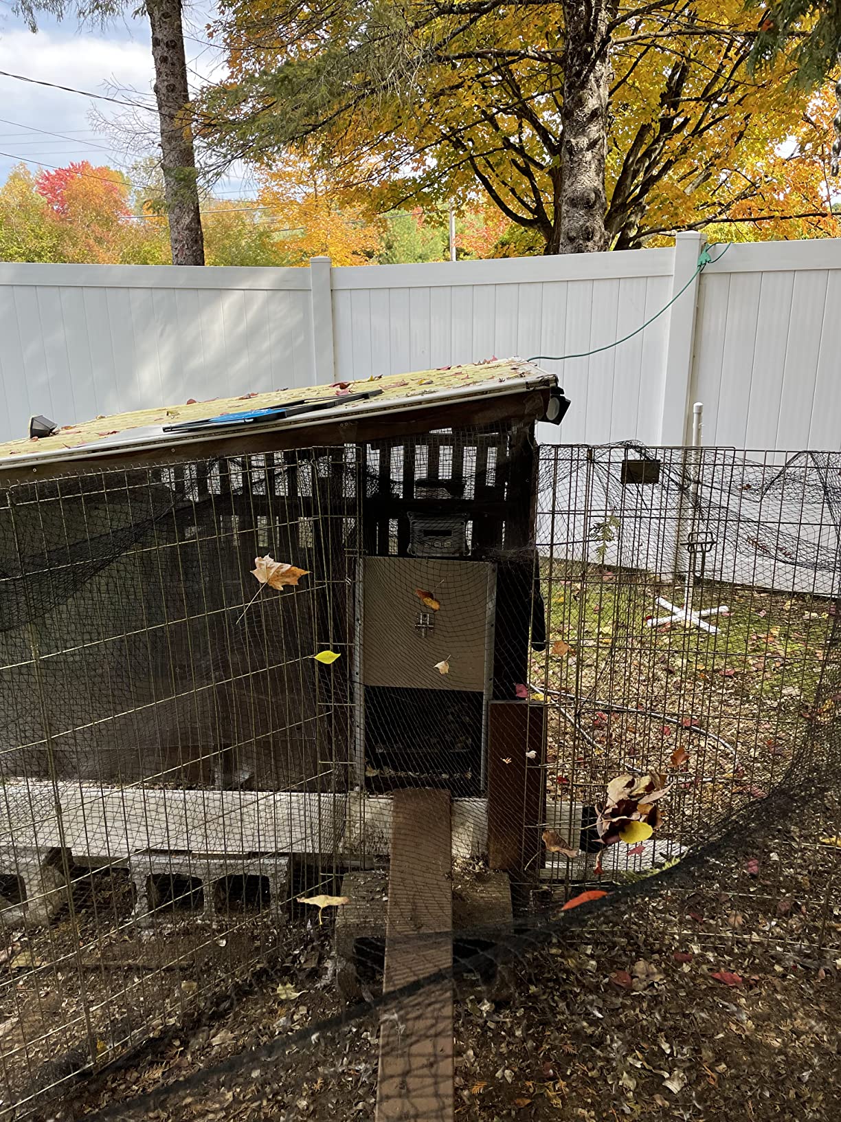 25mo Finance Manna Pro Harris Farms Automated Chicken Coop Door Auto Door With Built In