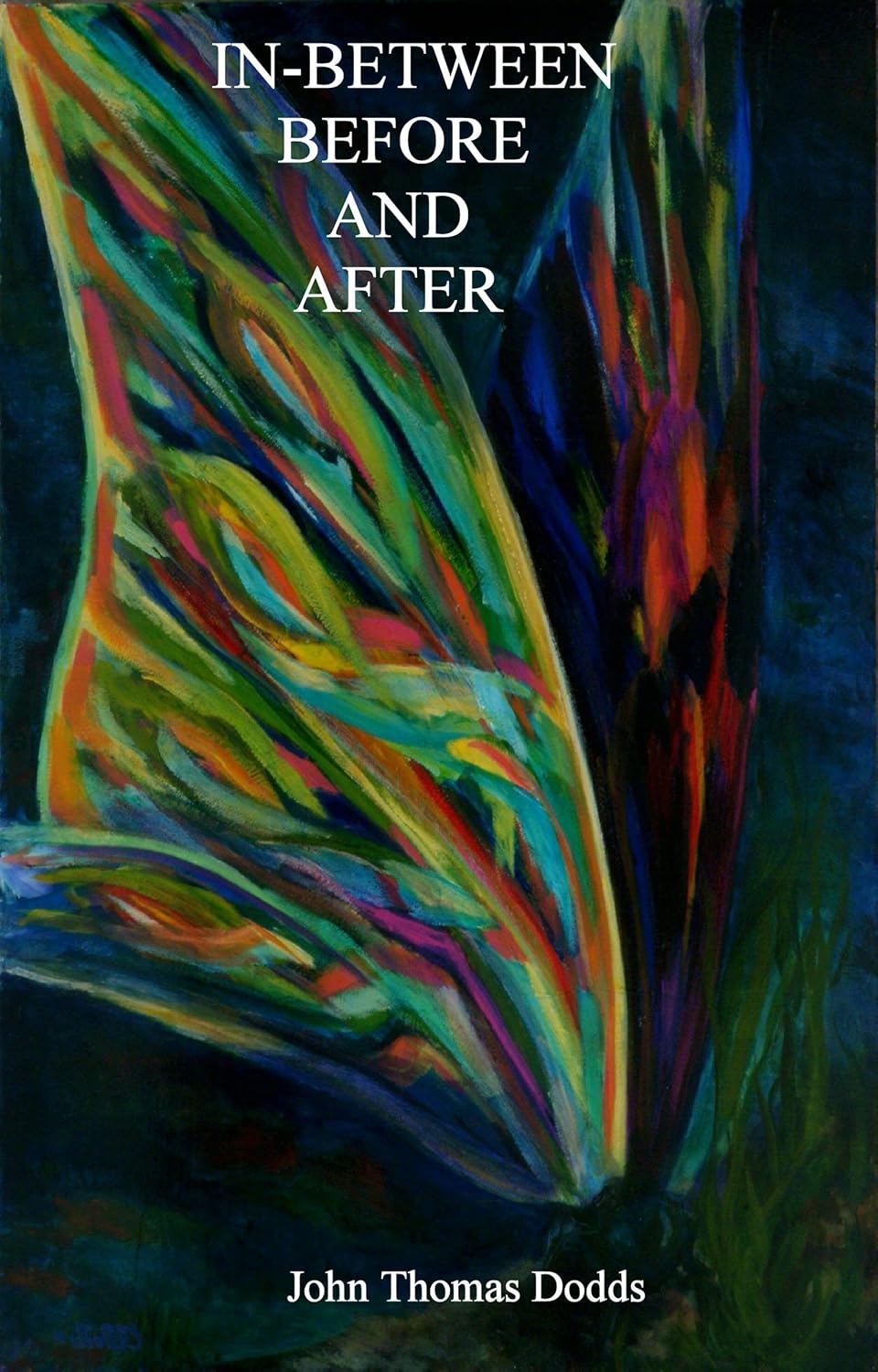 Amazon.com: In-Between Before and After eBook : Dodds, John Thomas ...