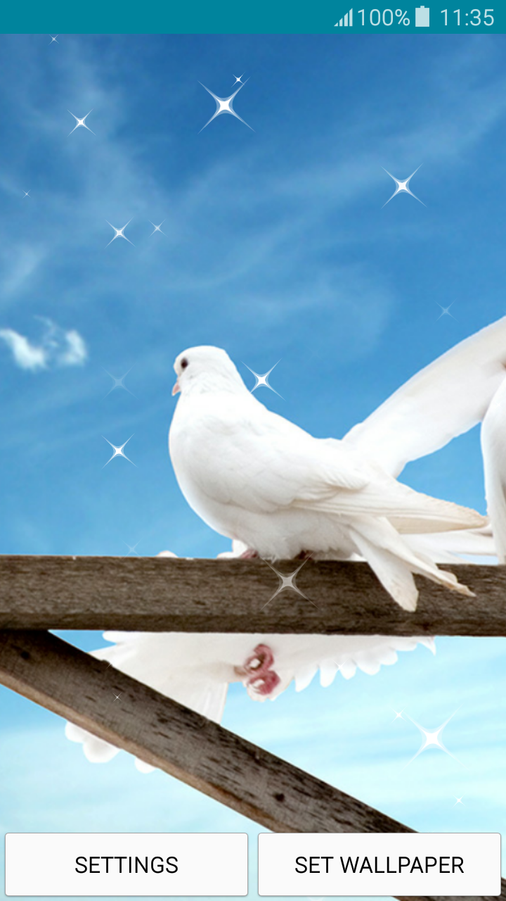 Live Wallpapers – Doves - App on Amazon Appstore