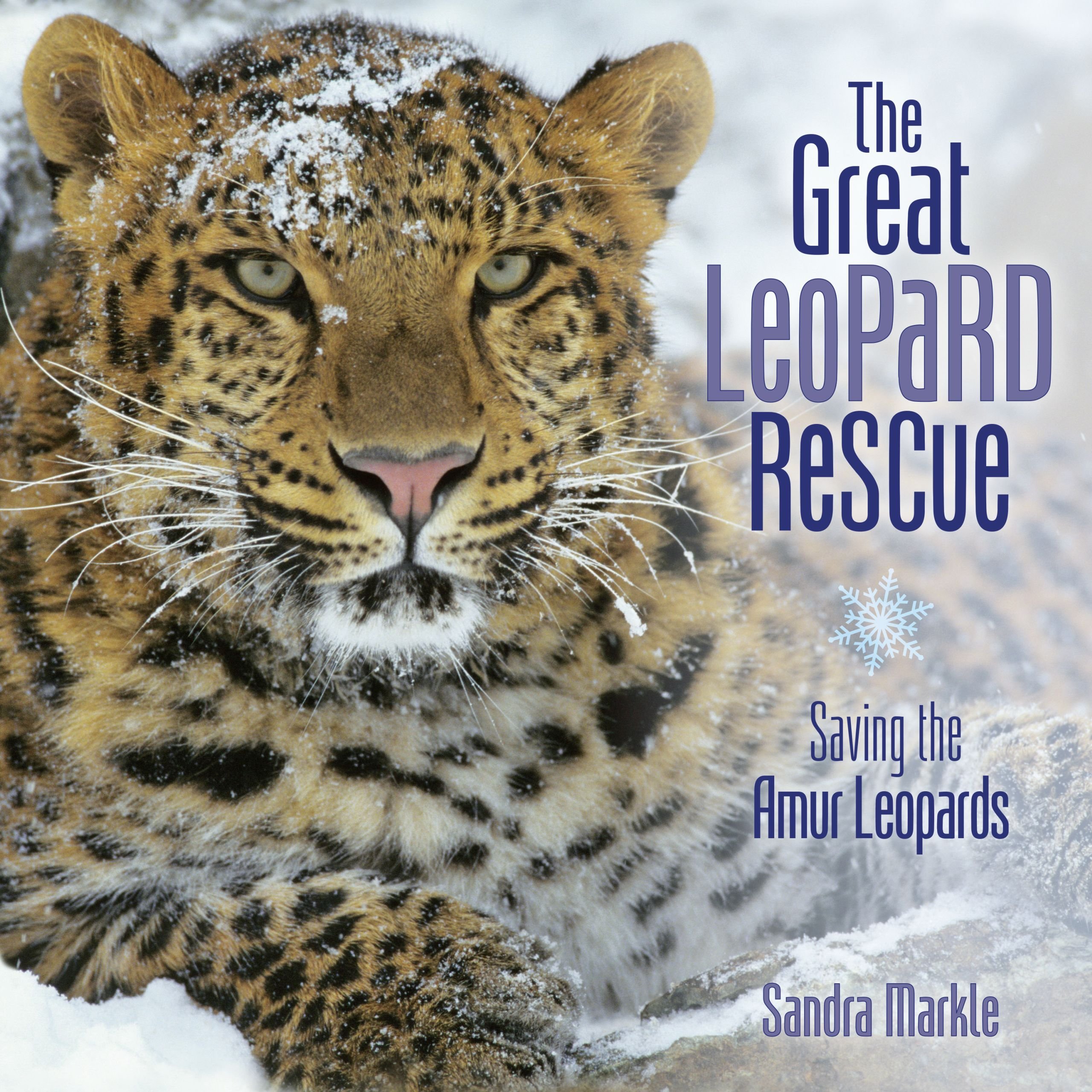 The Great Leopard Rescue: Saving the Amur Leopards (Sandra Markle's ...