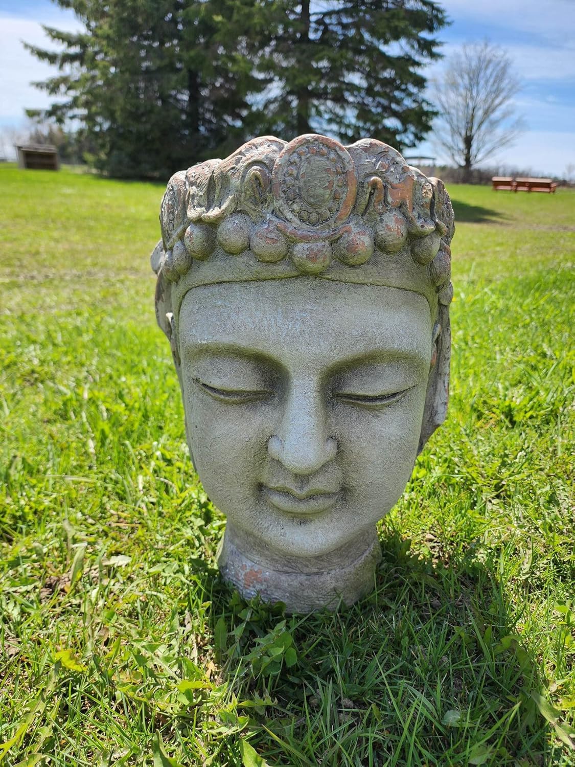 Large Buddha Planter : Amazon.ca: Patio, Lawn & Garden