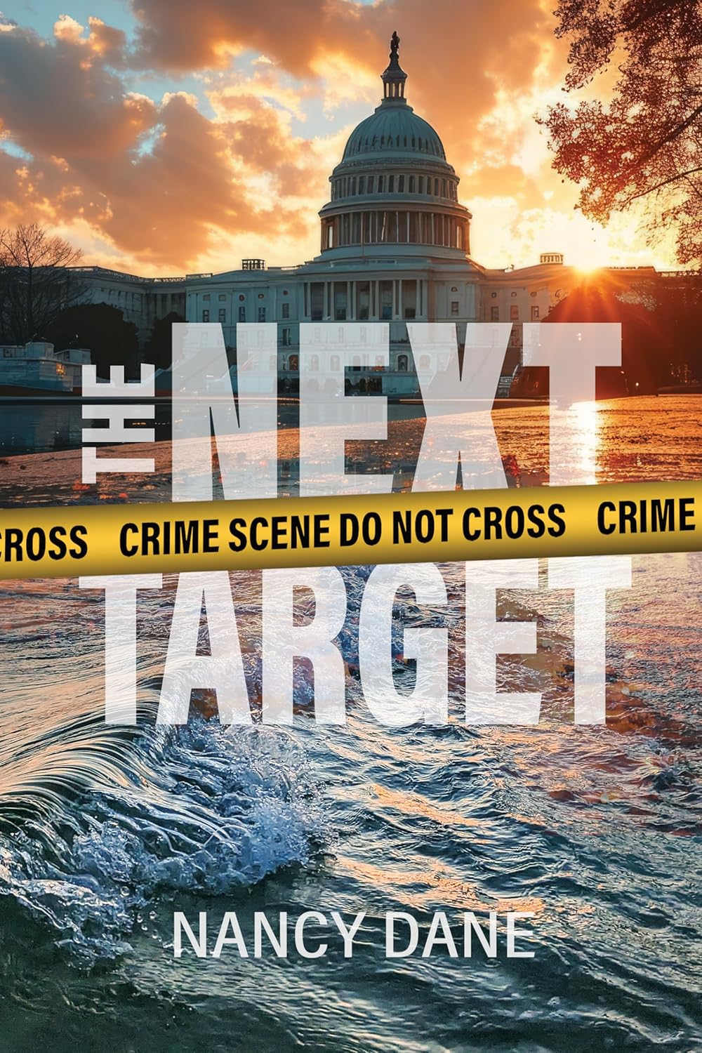 Amazon.com: The Next Target eBook : Dane, Nancy: Kindle Store