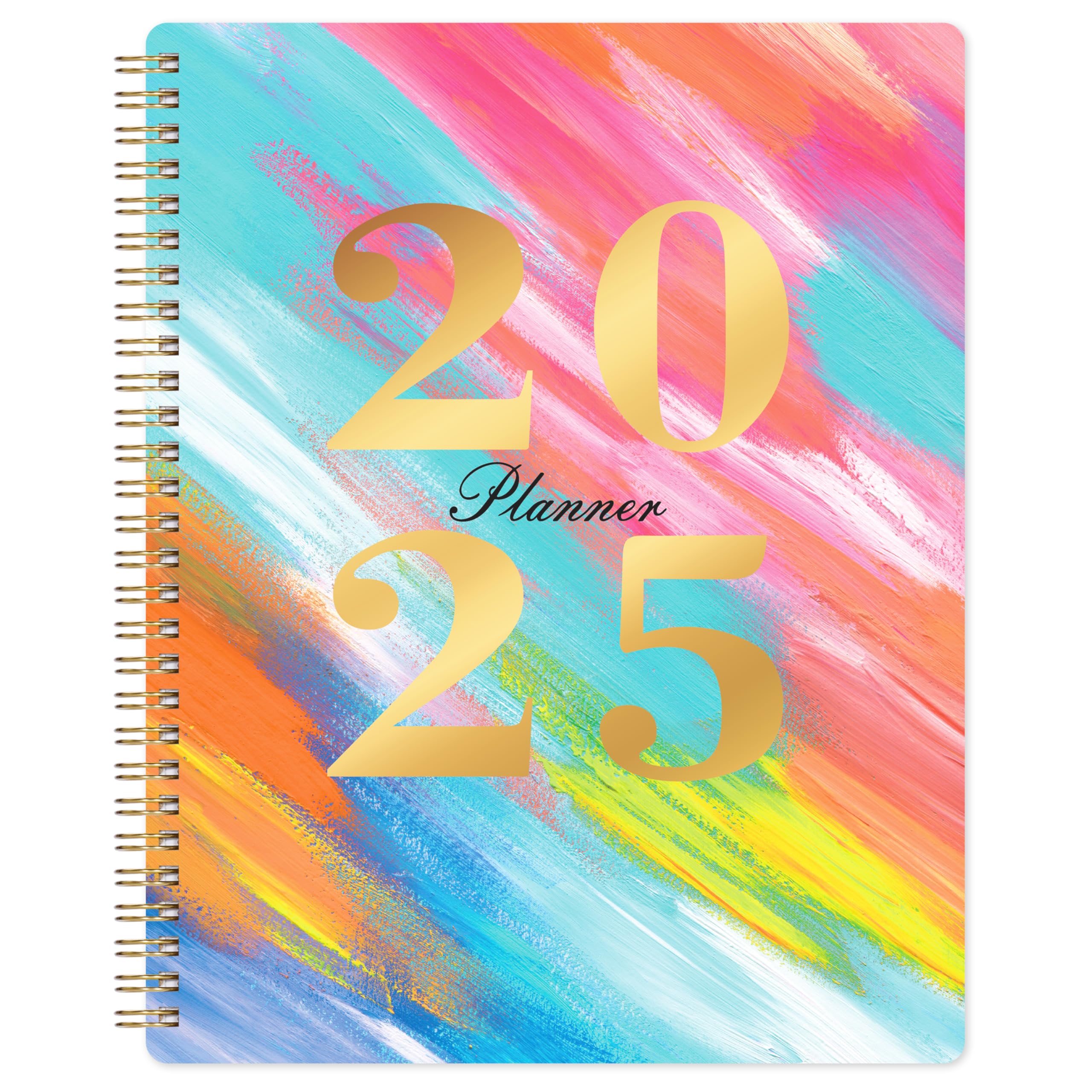 Buy 2025 Planner - 2025 Planner Weekly and Monthly, Jan 2025 - Dec 2025 ...