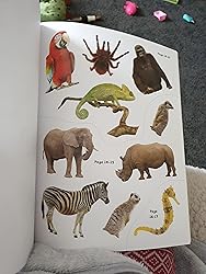 First 100 Stickers: Animals: Over 500 Stickers: Amazon.co.uk: Priddy ...