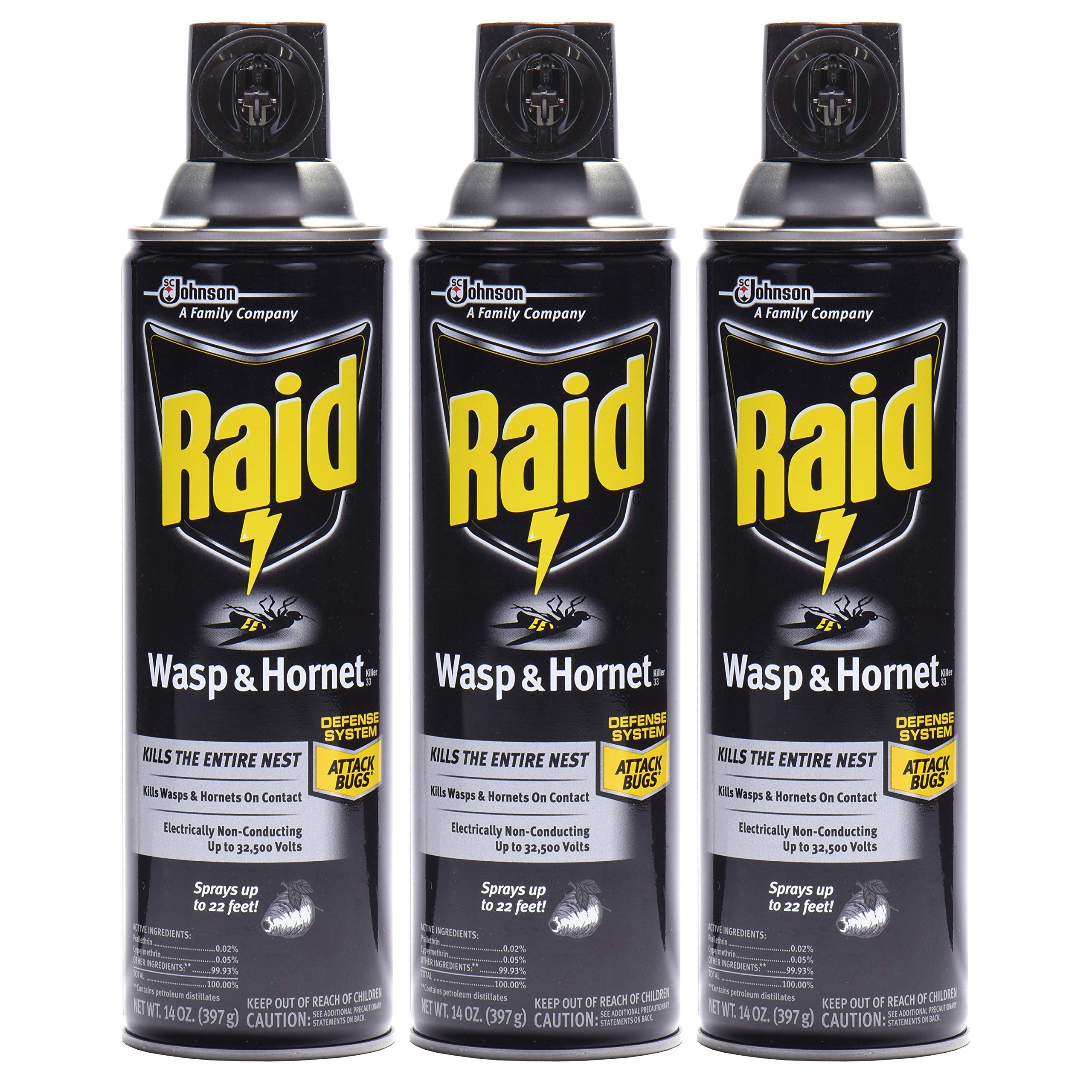 Amazon.com: Raid Wasp & Hornet Killer Spray (14 Ounce (Pack of 3 ...