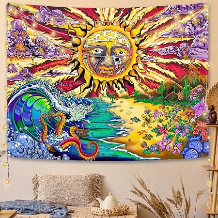 Amazon.com: FemiaD 6 X 12 Novelty Funny Sign Sublime California Vintage ...