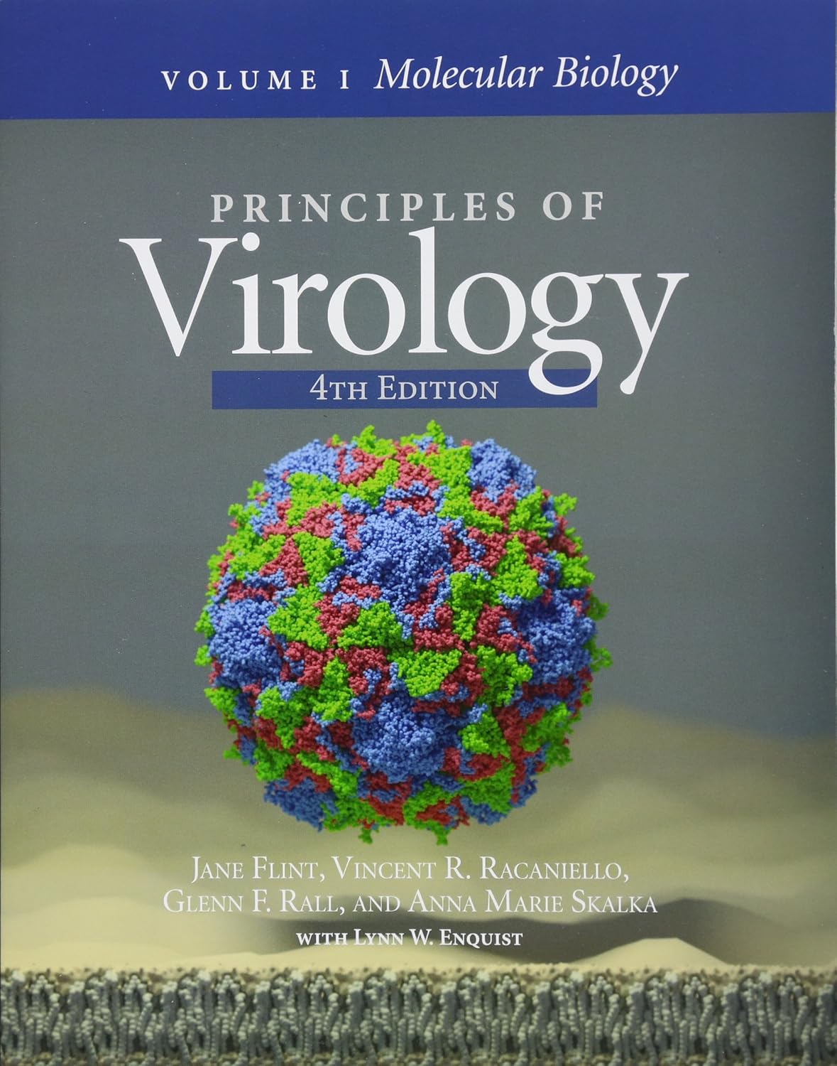 Principles of Virology: Volume 1: Molecular Biology: 9781555819330 ...
