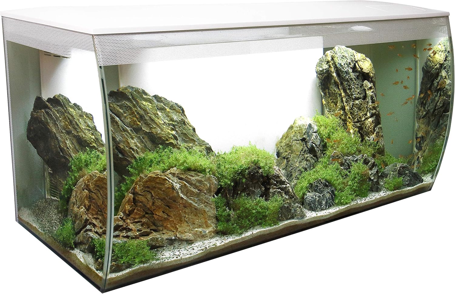 Fluval 10 Gallons Siapp cuaed unam mx fluval-10-gallons-siapp-cuaed-unam-mx
