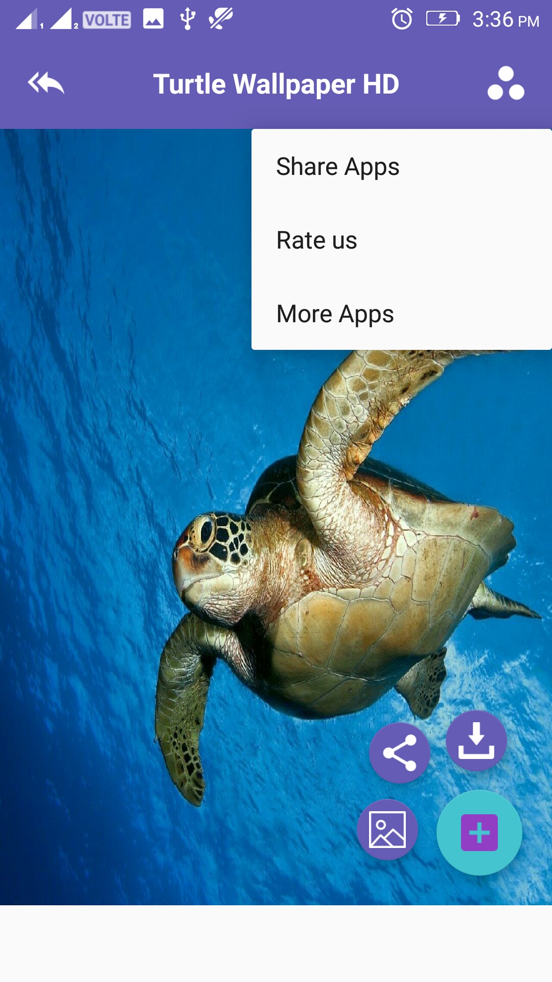 Turtle 4K Wallpaper - App on Amazon Appstore