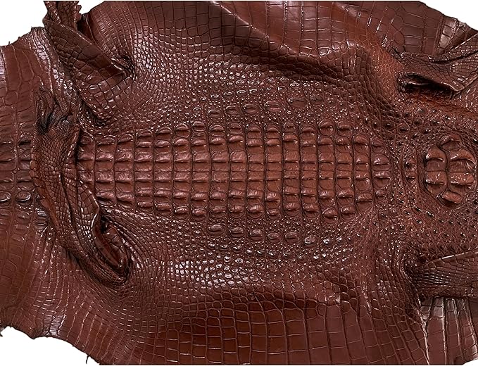 Amazon.com: Brown Alligator Hide Leather Skin Crocodile Leather Hide ...