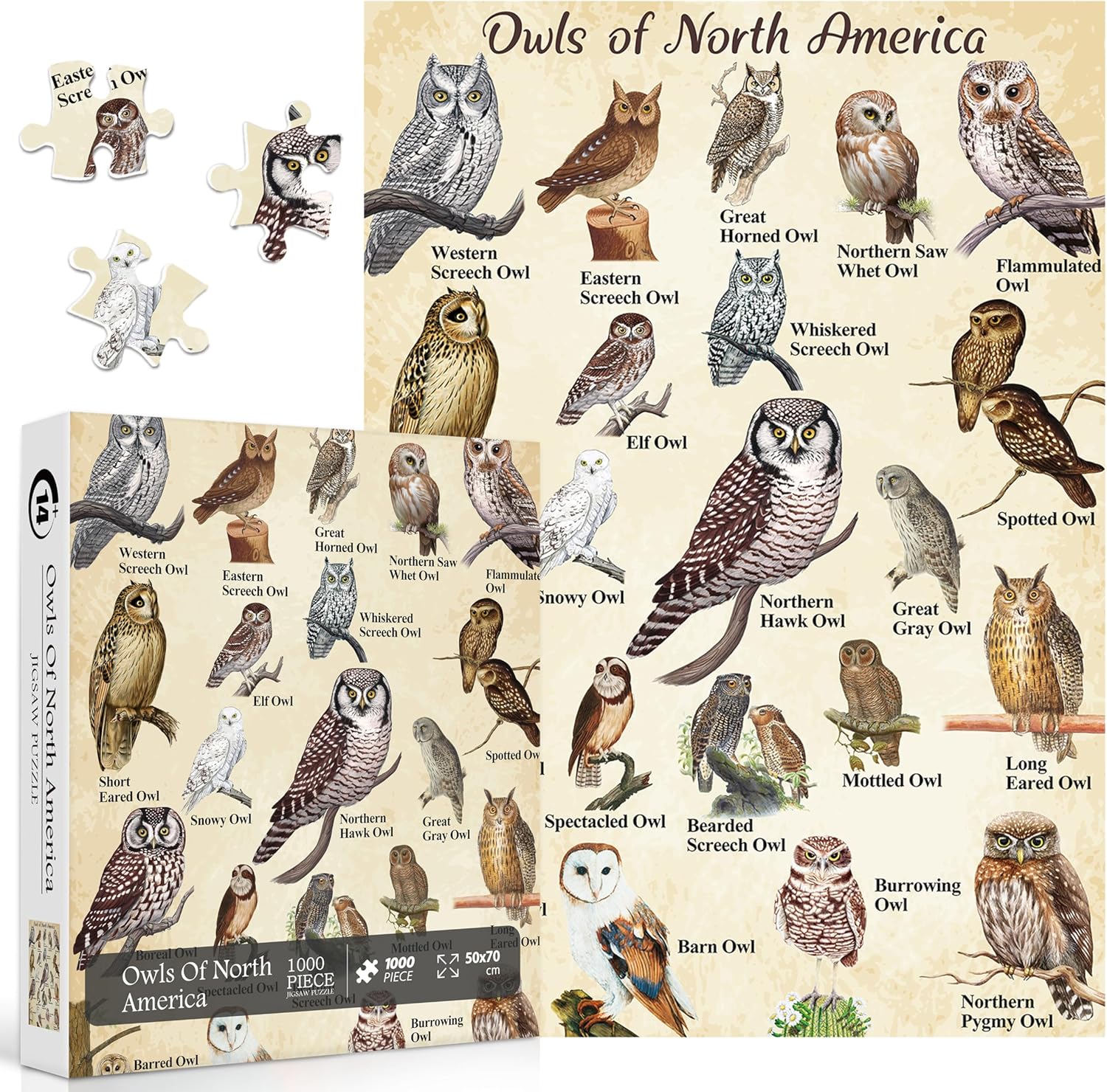 Amazon.com: Owl Puzzles for Adults 1000 Pieces, Bird Animal Jigsaw ...