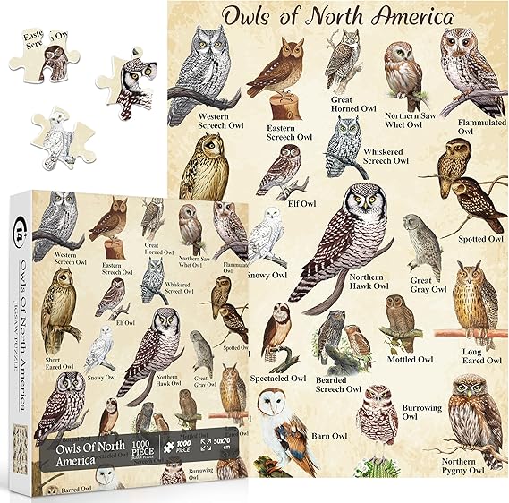 Amazon.com: Owl Puzzles for Adults 1000 Pieces, Bird Animal Jigsaw ...