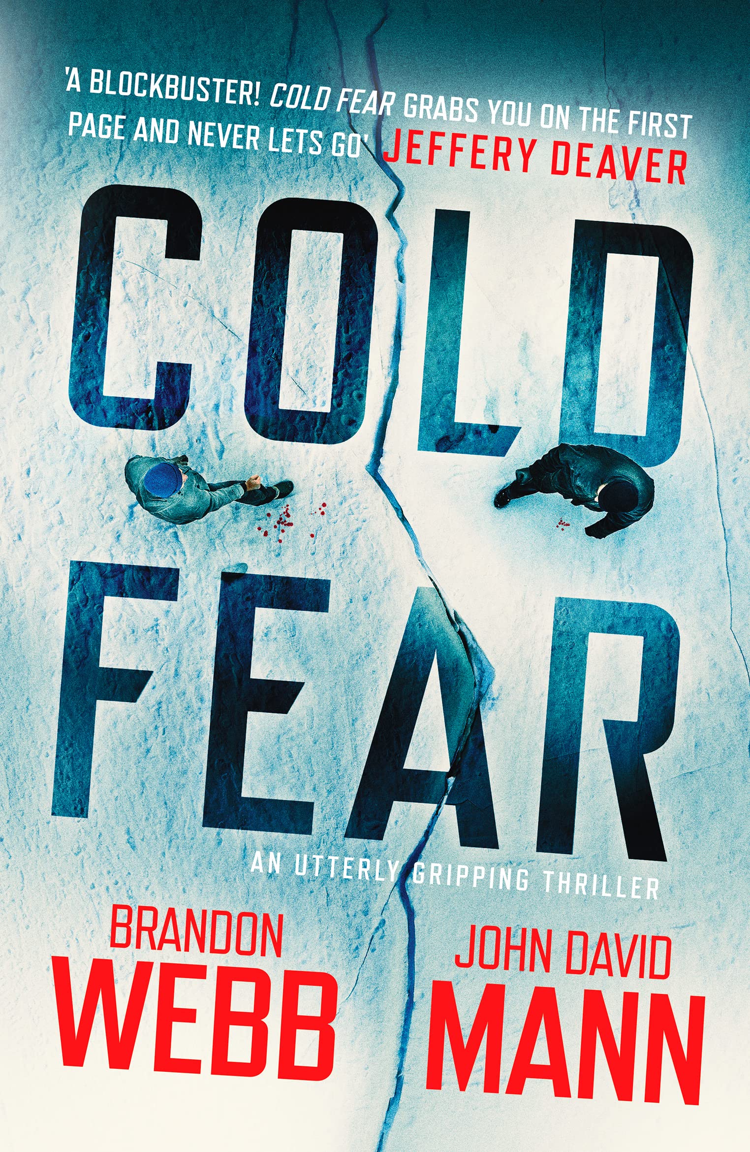 Cold Fear: Brandon Webb: 9781800326163: Amazon.com: Books