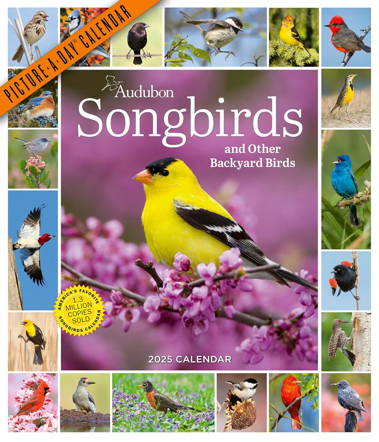 Amazon.com: Audubon Songbirds and Other Backyard Birds Picture-A-Day ...