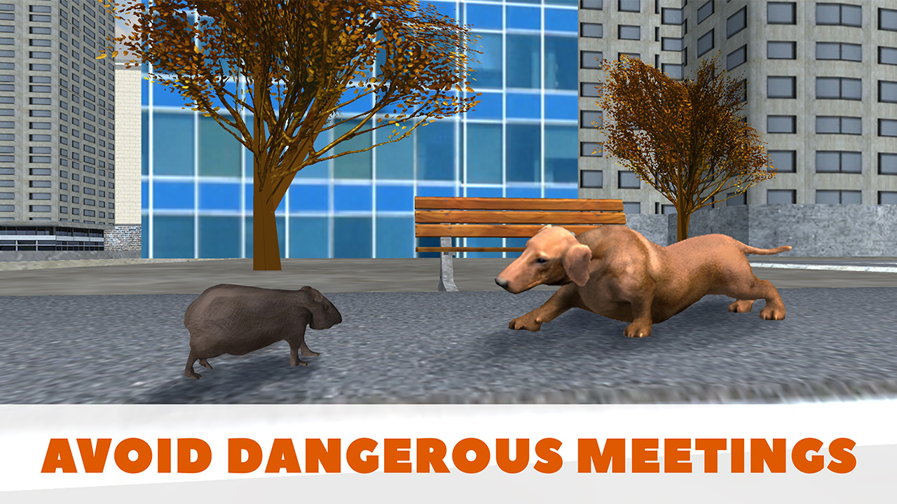 Guinea Pig City Survival - Little Rodent Roaming About:Amazon.com ...