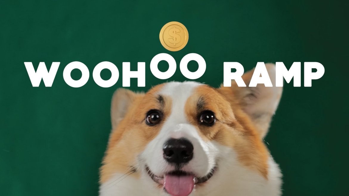 Watch Woohoo Ramp - The better and safer ramp for your dog on Amazon Live