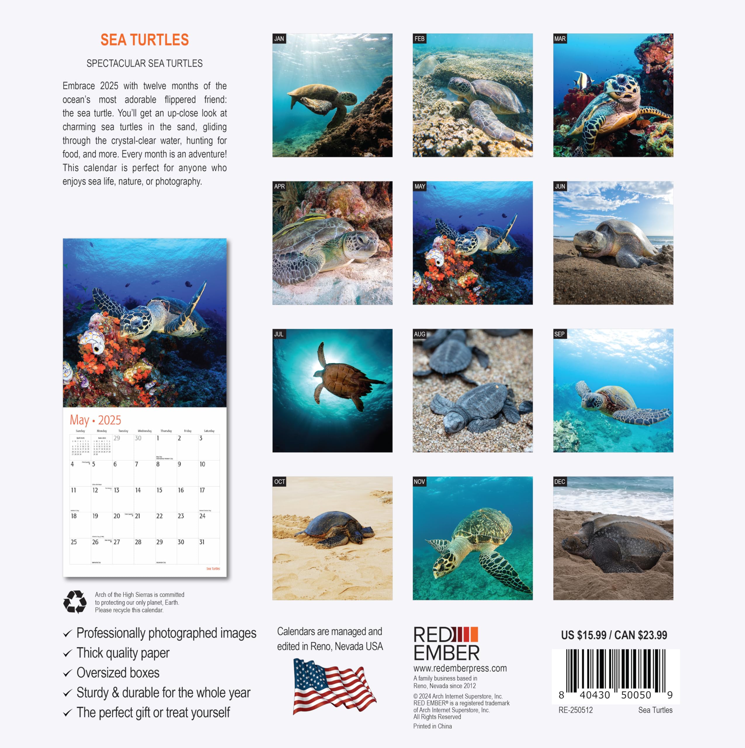Snapklik.com : Sea Turtles 2025 Wall Calendar 12 Month 12" X 24" Open ...