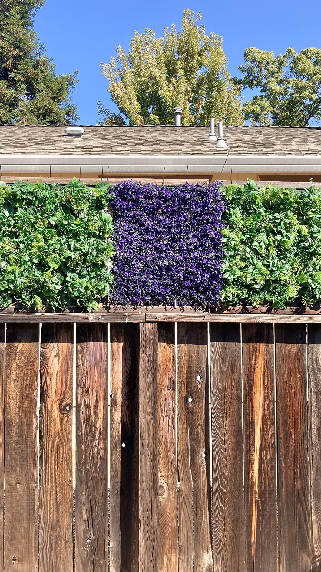 $23/mo - Finance Patio 20"x20" Artificial FICUS Fence Panel Hedge Panel ...