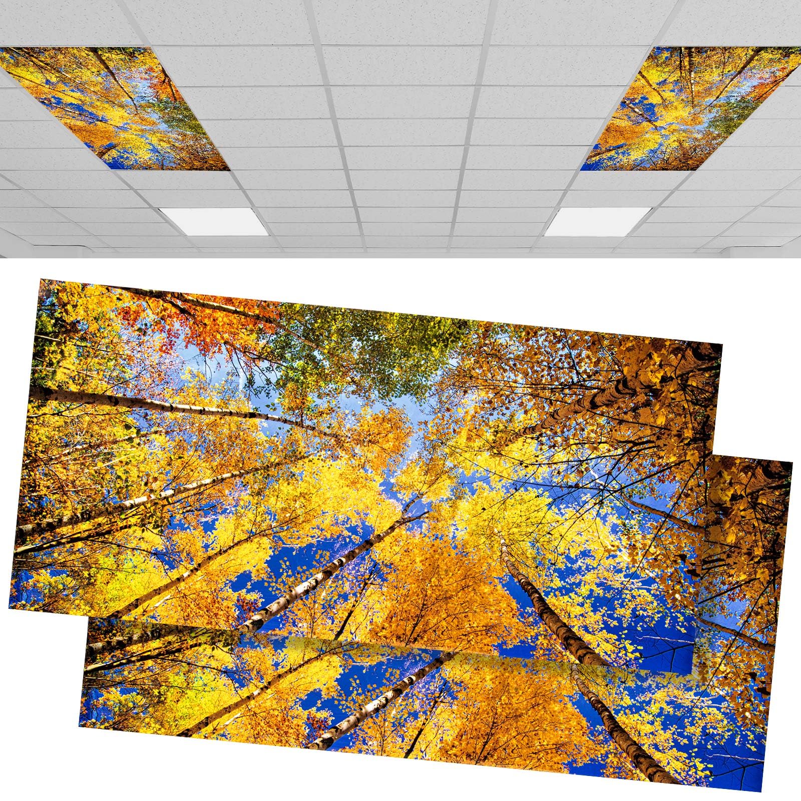 Plastic Fluorescent Light Diffuser Panels Acrylic Plastic Pet