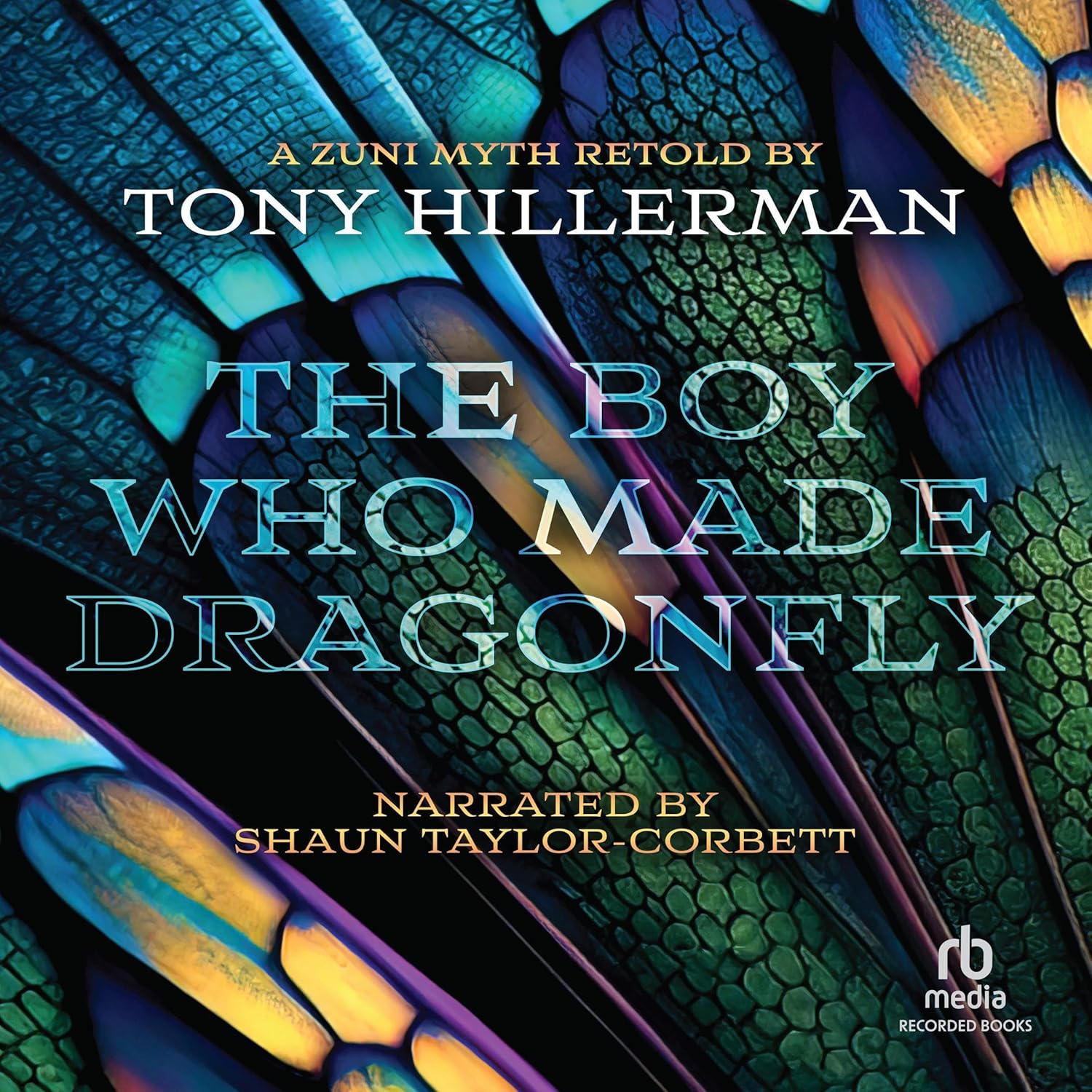 Amazon.com: The Boy Who Made Dragonfly: A Zuni Myth (Audible Audio ...