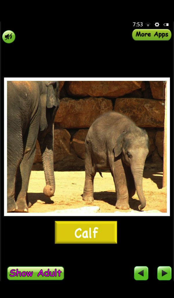 Aplicación Preschool - Animals and their Young en Amazon Appstore