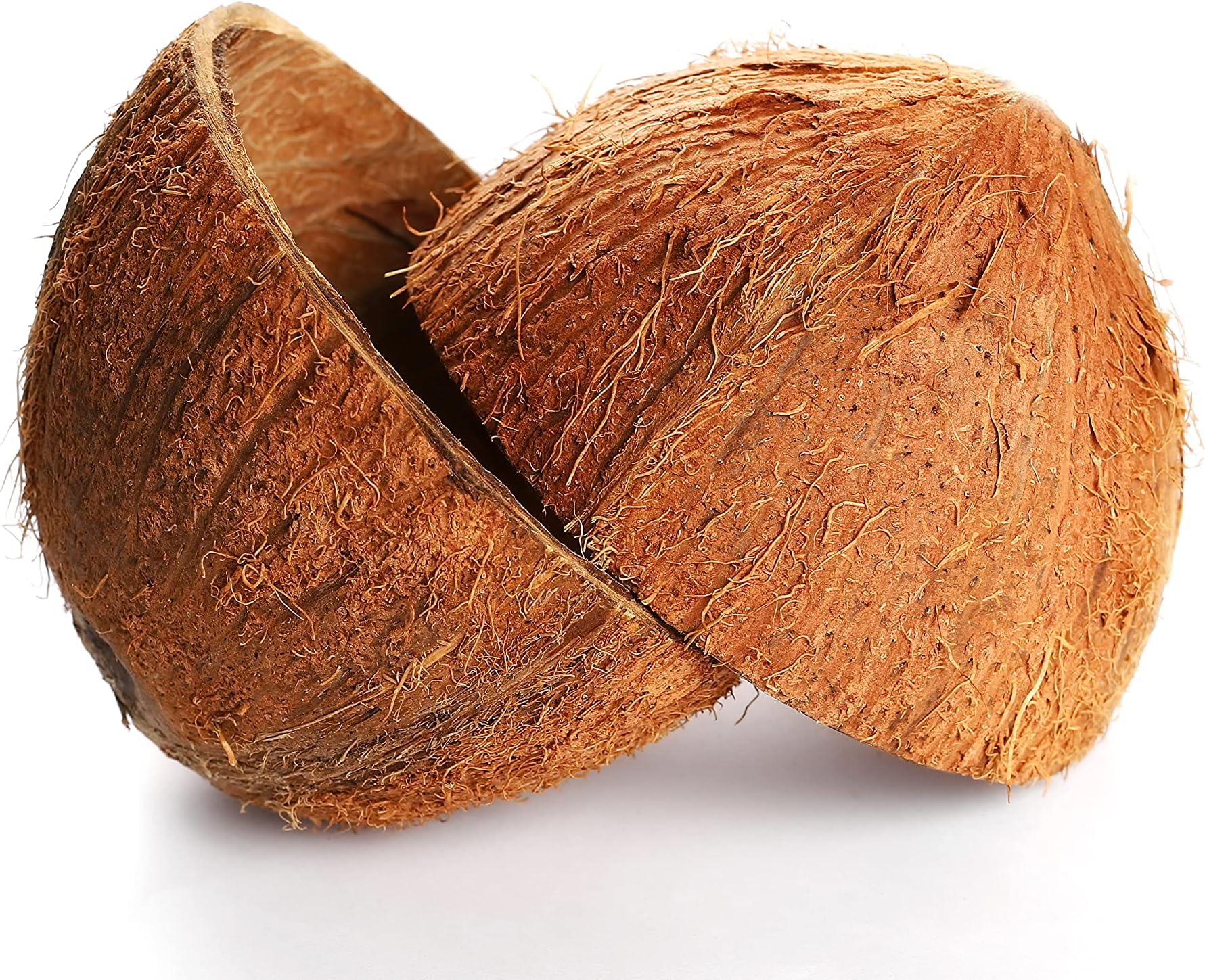Amazon.com: Sri Care Natural Coconut Bowl Halves Coconut Shell for ...
