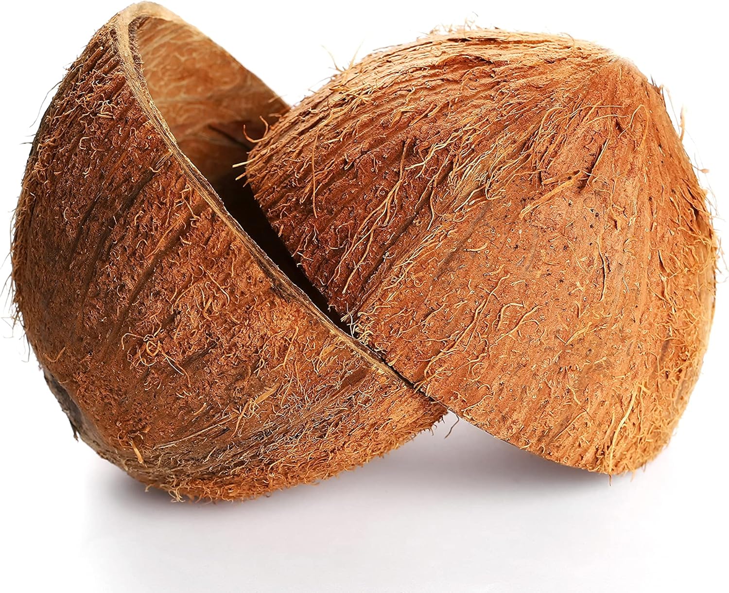 Two Coconut Shell Halves : Amazon.co.uk: Grocery